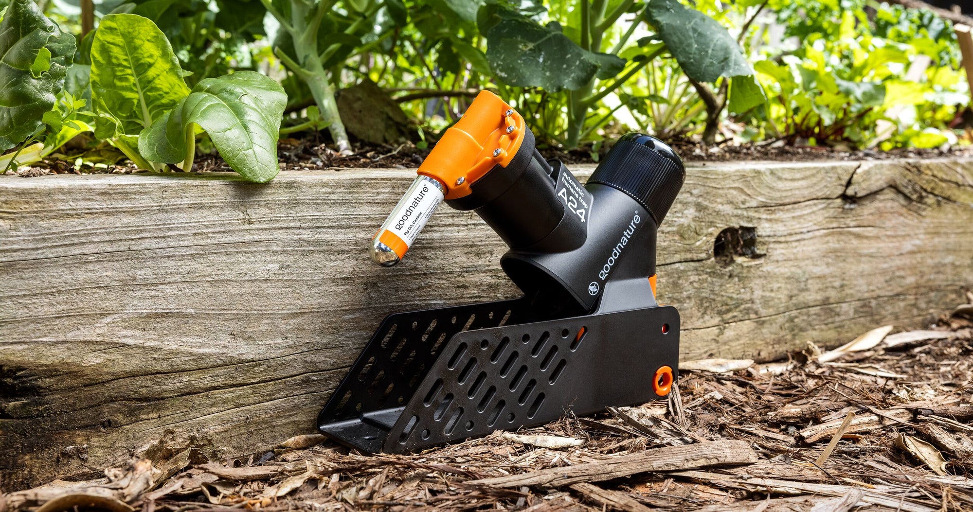 Goodnature Canada | A24 Rat & Mouse Trap | Non-Toxic & Automatic