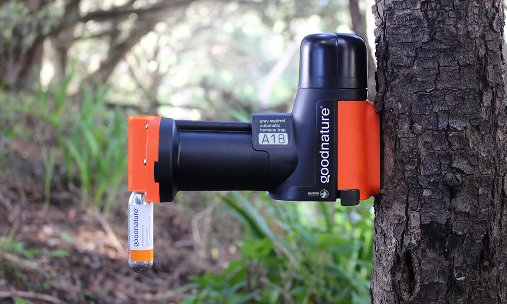 A18 Squirrel and Large Rodent Trapping Kit | Automatic Trap Company ...